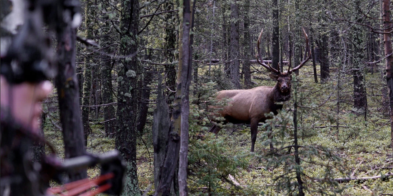 September Scaries — Outdoorsmans